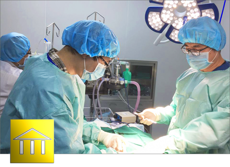 ESAVS Asia | European School for Advanced Veterinary Studies